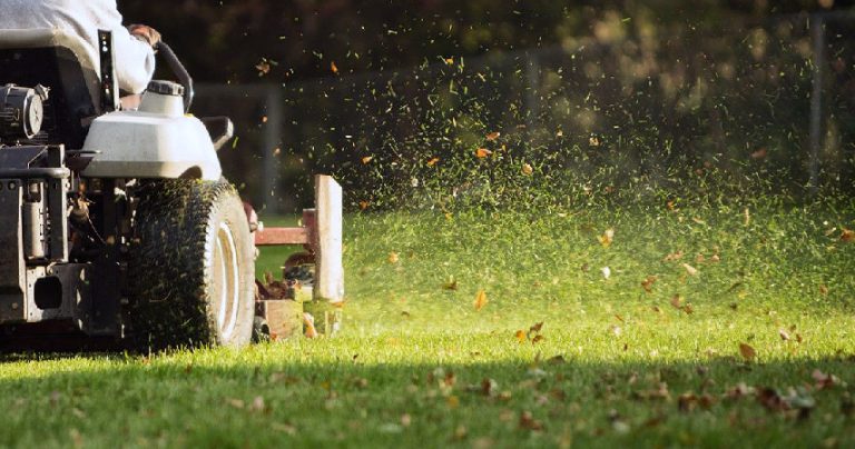 Lawn Care, Grass Cutting, Lawn Maintenance Services - Precision Lawn Care