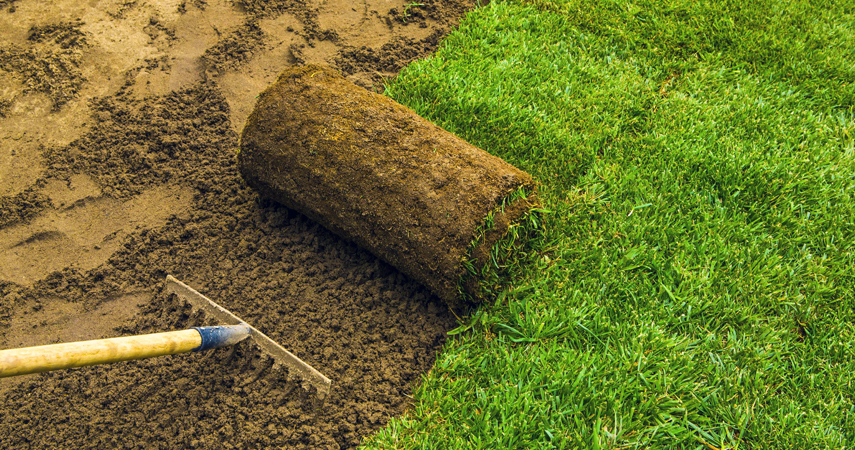 Sod, Turf Installation - Precision Lawn Care
